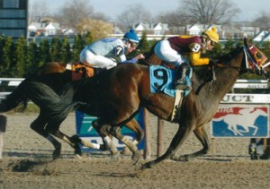 Horse Racing Partnership Information | Funky Munky Stable NY