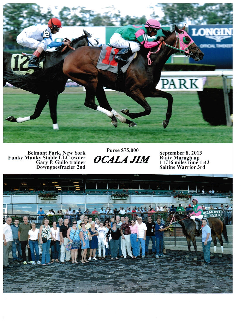 Benefits Of Horse-Race Partnerships | Horse Partnerships